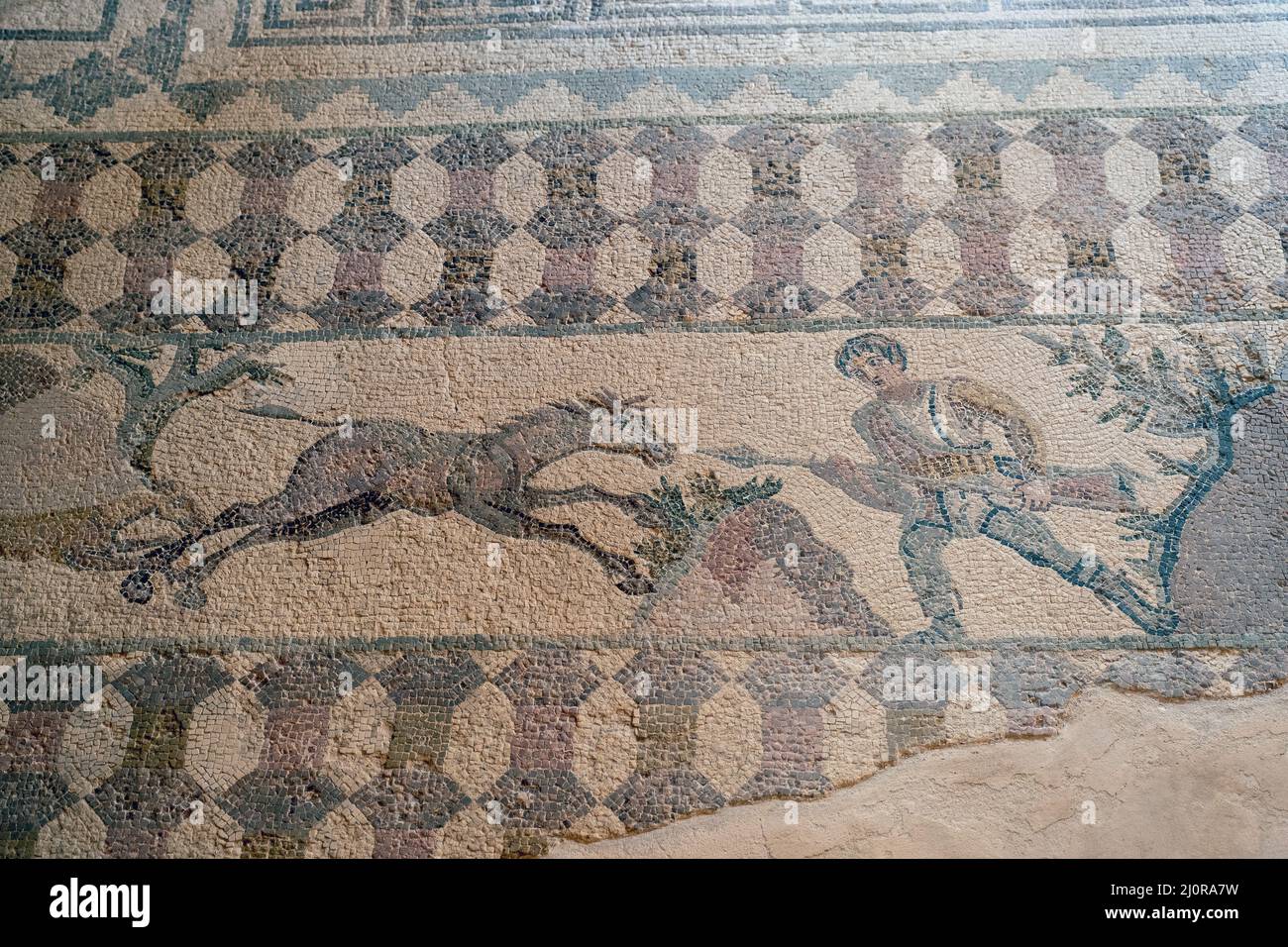 House of the donkey mosaic hi-res stock photography and images - Alamy