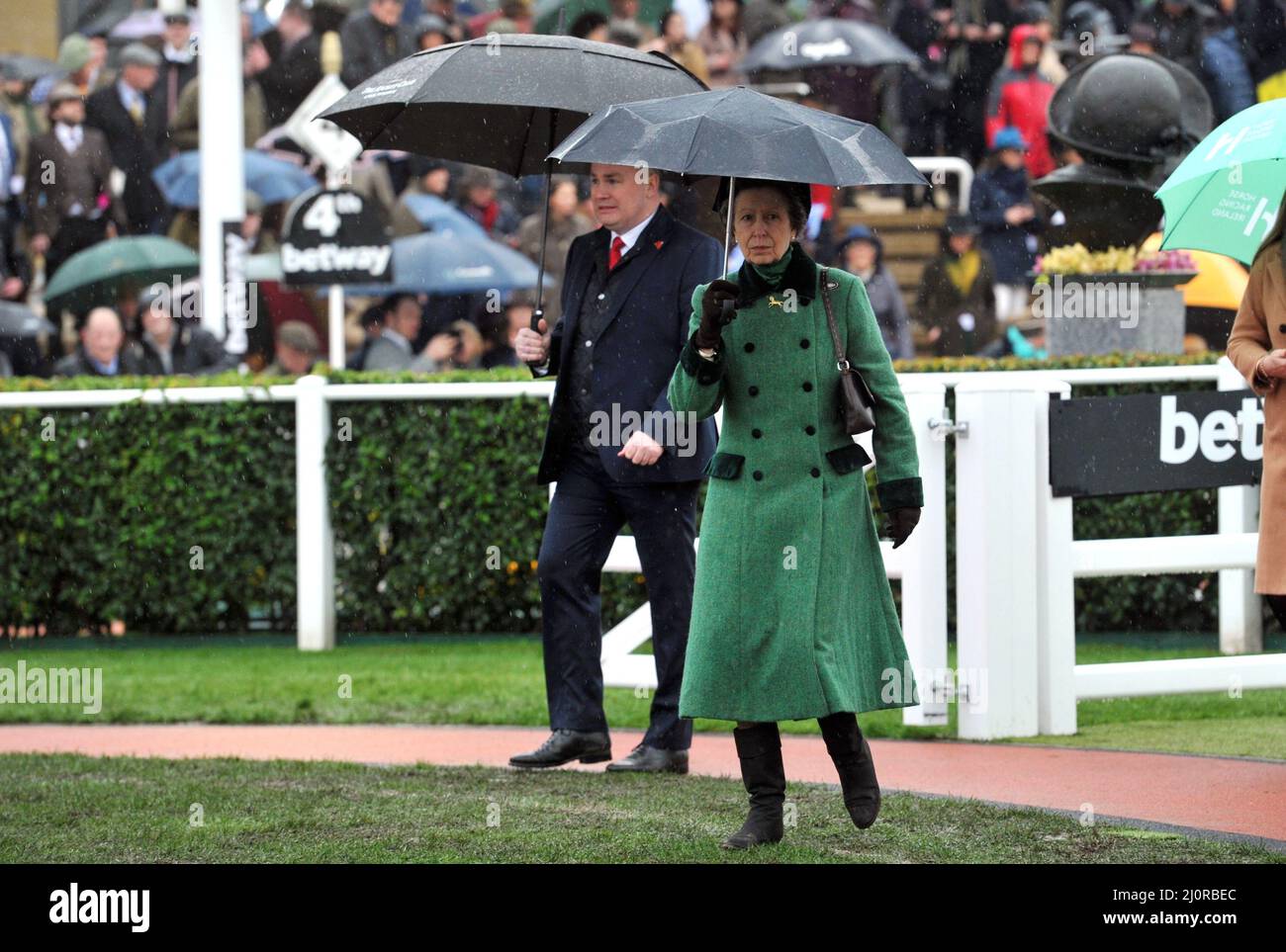 Princess Anne in the parade ring Day 2, racing at the Cheltenham Gold ...