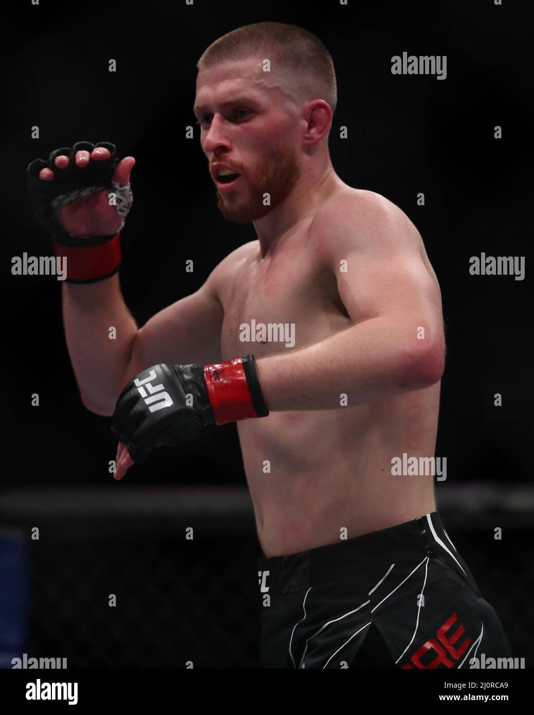 Ufc fight 204 hi-res stock photography and images - Alamy