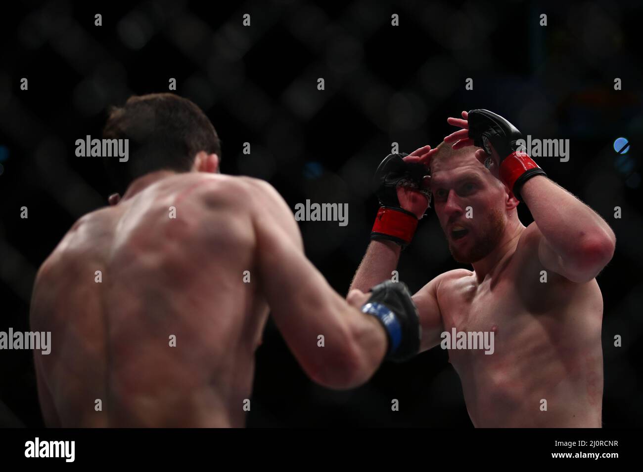 Ufc london 2022 card hi-res stock photography and images - Alamy