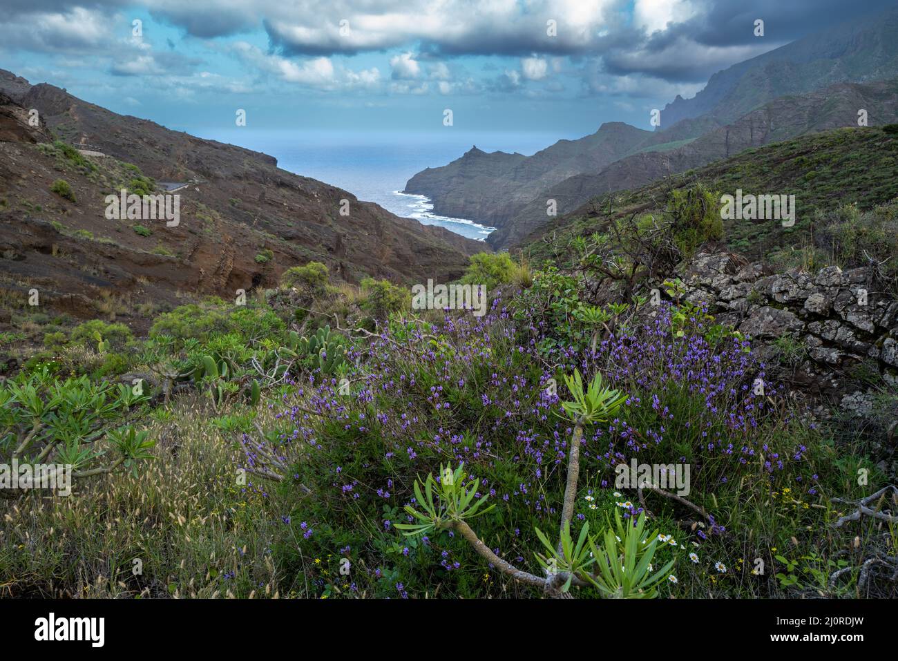 Playa de hermigua hi-res stock photography and images - Alamy