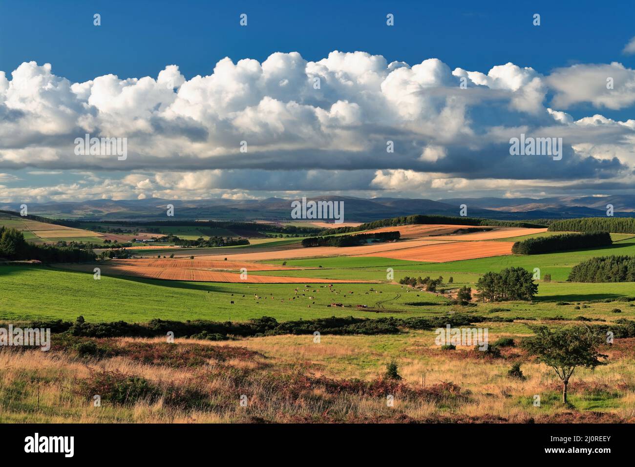 Angus glens scotland hi-res stock photography and images - Alamy