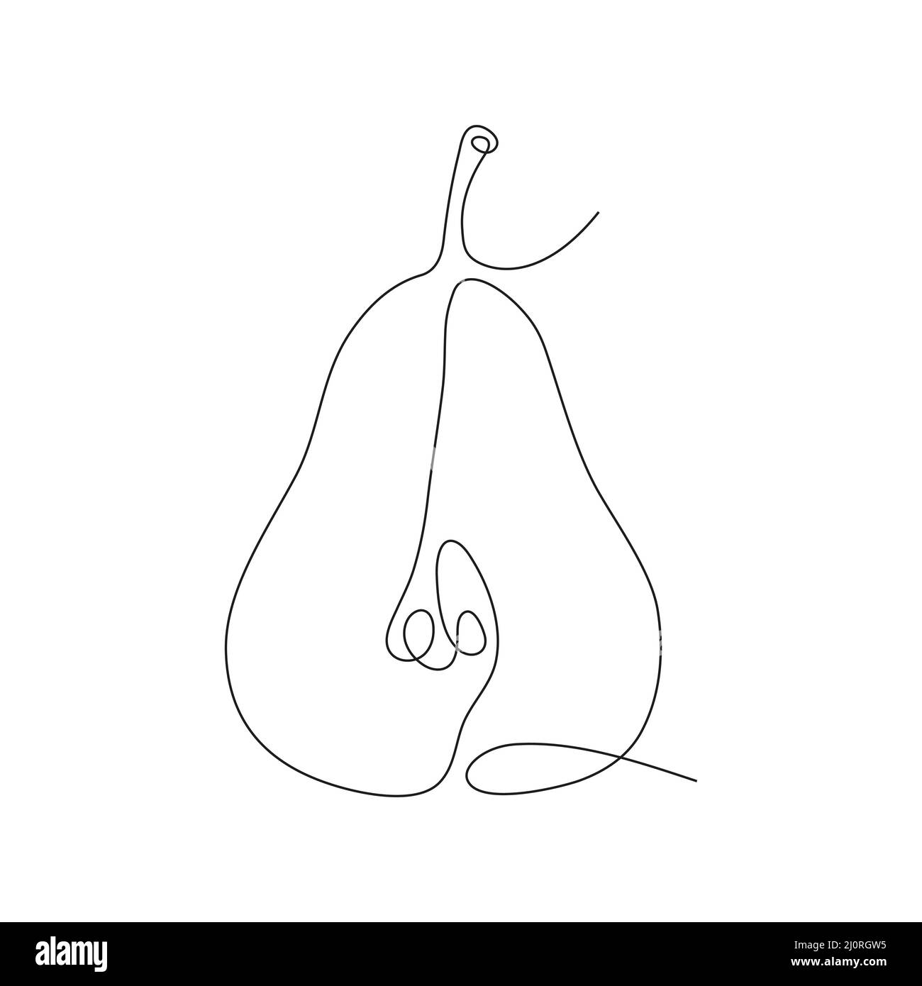 Pear fruit continuous line art. Hand drawn pear. Vector isolated on ...