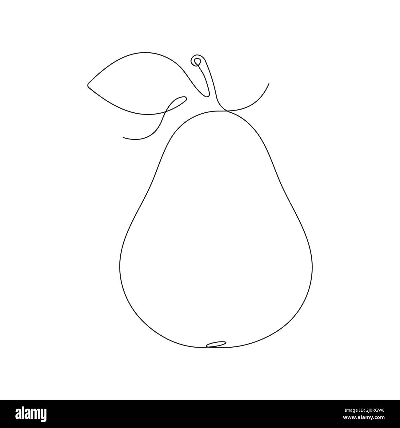 Pear fruit continuous line art. Hand drawn pear. Vector isolated on ...