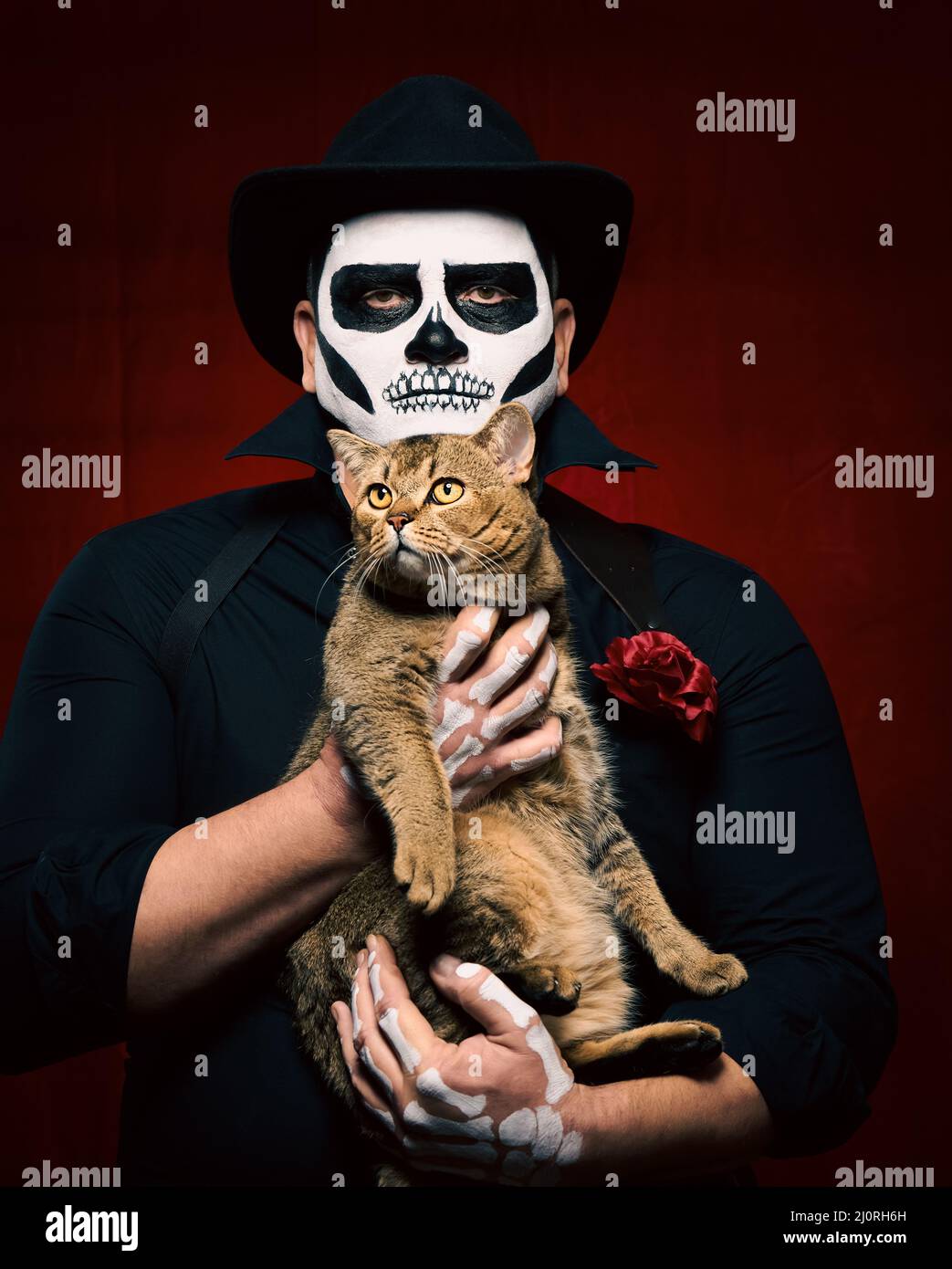 Evil white cat with man hi-res stock photography and images - Alamy