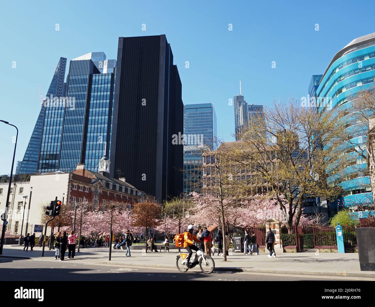Aldgate Square, Pink Blossom and modern tower block in the city of ...