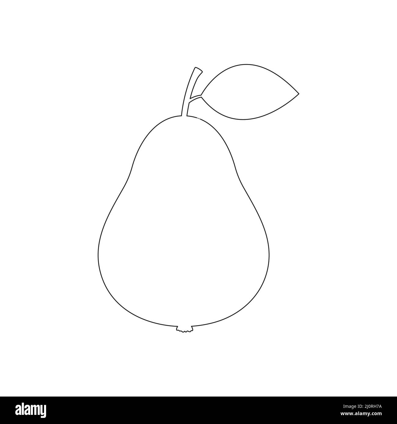 Pear Line Drawing
