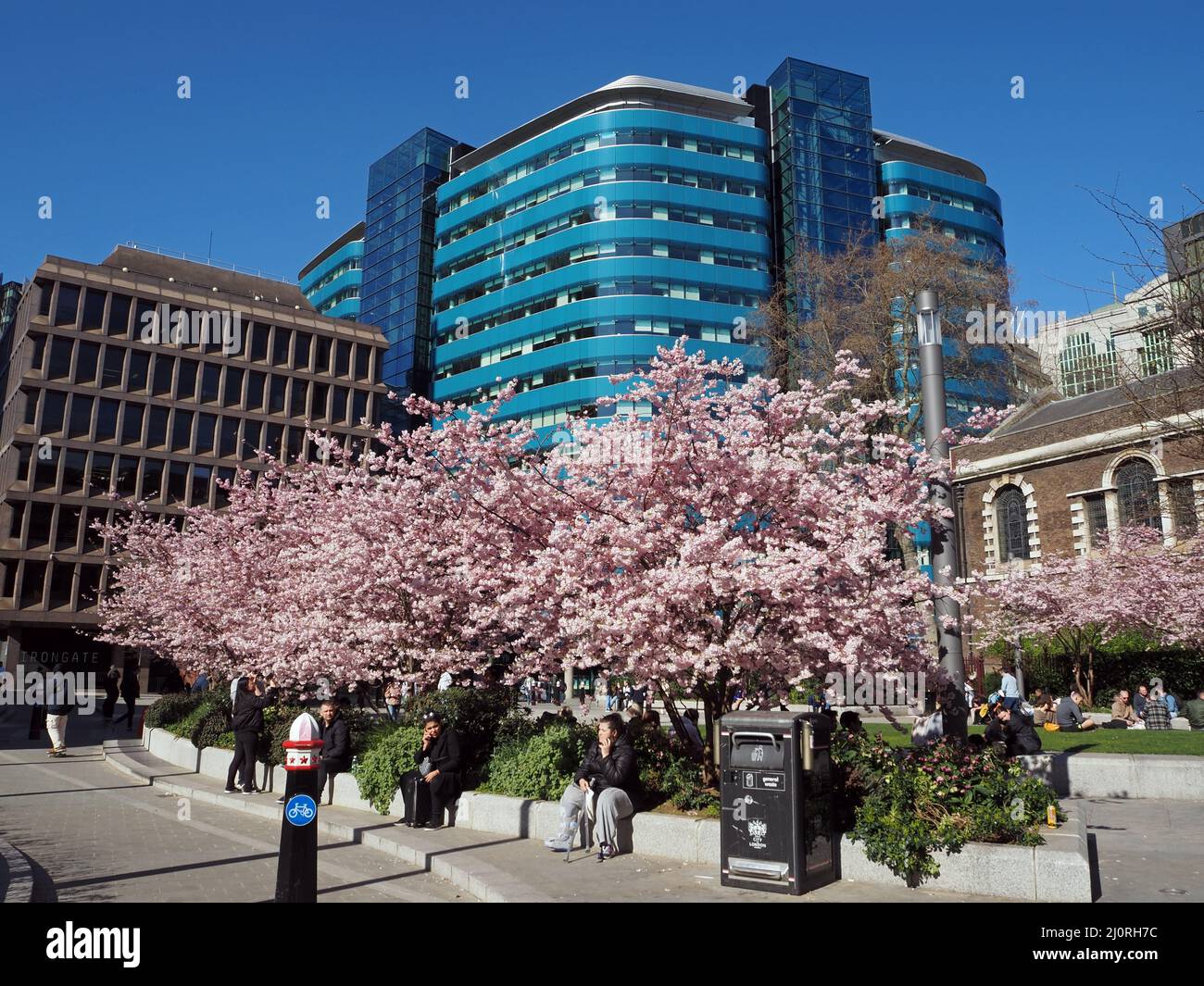 Aldgate Square, Pink Blossom and modern tower block in the city of ...