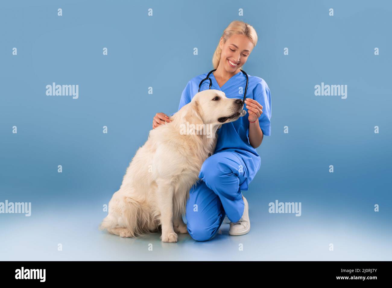 Doctor veterinarian giving test hi-res stock photography and images - Alamy