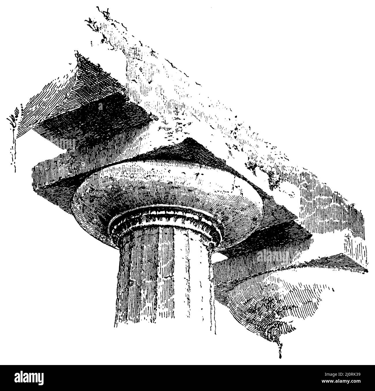 Capital from the small temple in Poseidonia. (Koldewey.), , (art ...