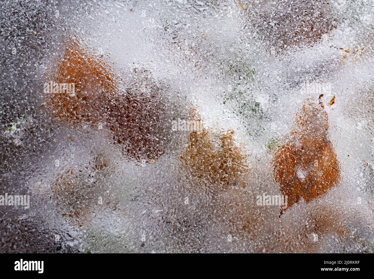 Abstract forms of ice surface in Kemeri National Park, Latvia Stock ...