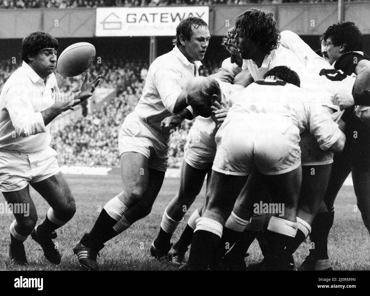 Nick youngs hi-res stock photography and images - Alamy