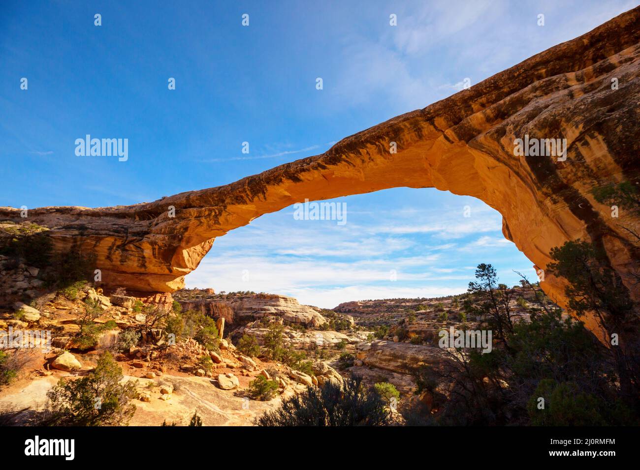 Weird bridges hi-res stock photography and images - Alamy