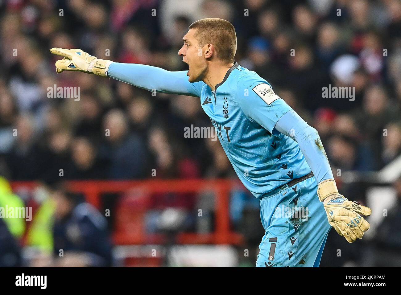 Ethan Horvath #1 of Nottingham Forest gives his team instructions Stock ...