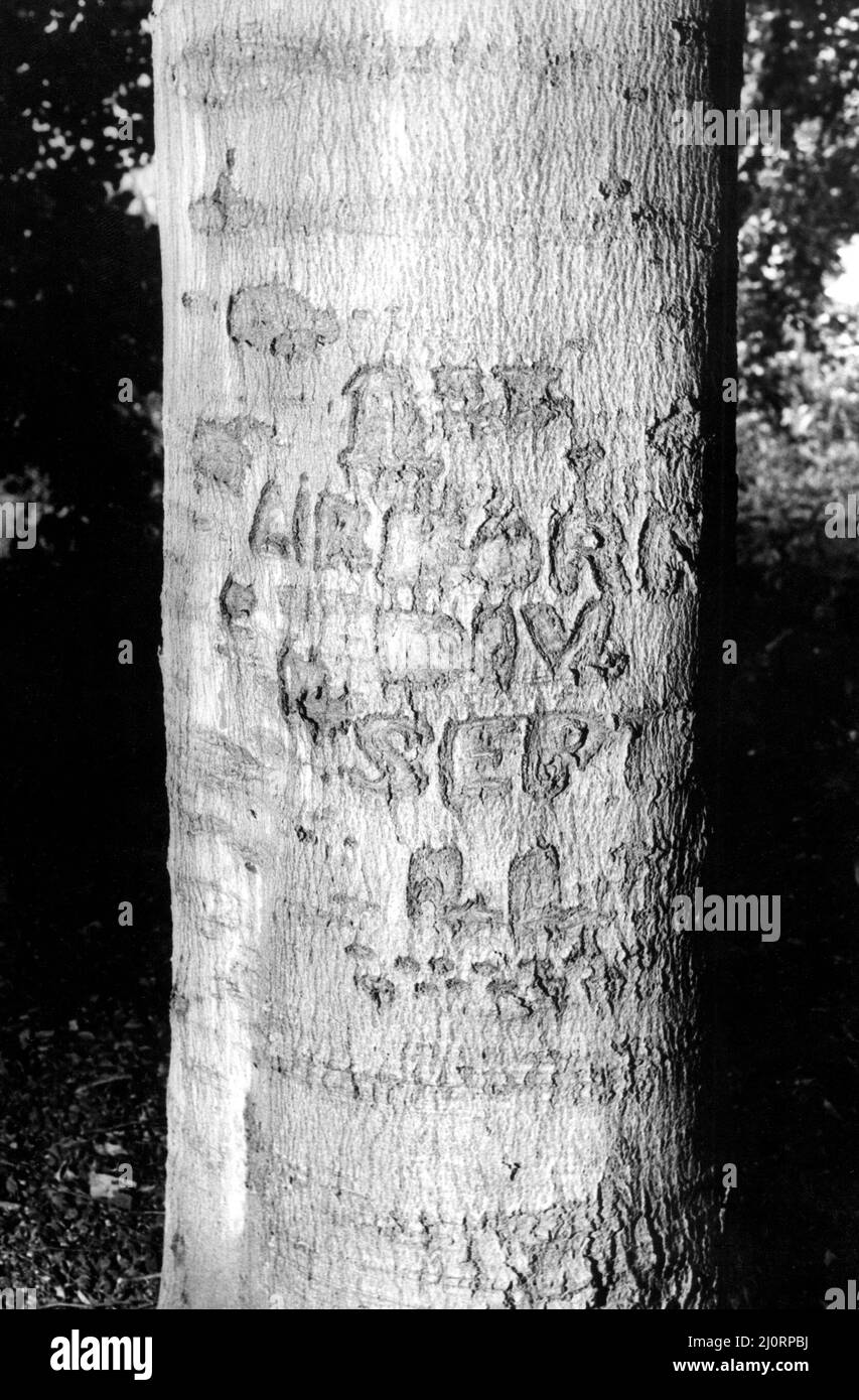 Second part day two Black and White Stock Photos & Images - Alamy