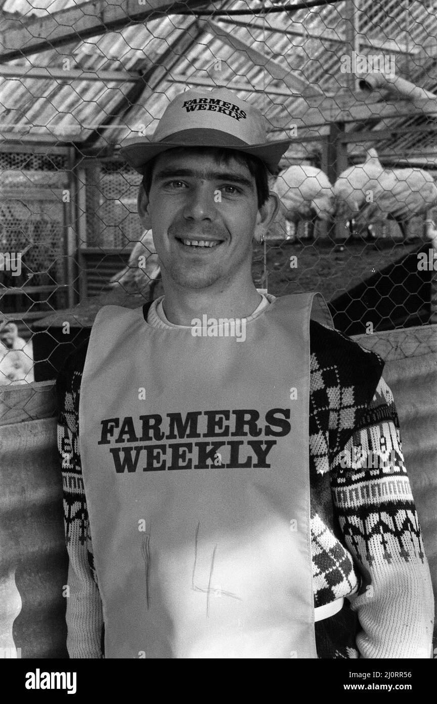 Turkey plucking hi-res stock photography and images - Alamy