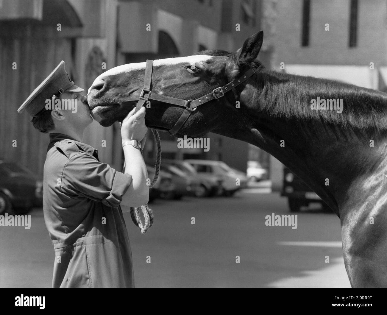Army: Horses: I'll miss you pal.Touch of Friendship: A kiss for Sefton ...