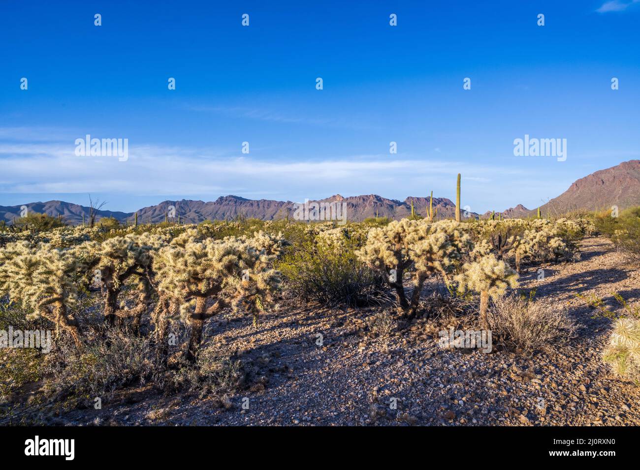 Beautiful views arizona hi-res stock photography and images - Alamy
