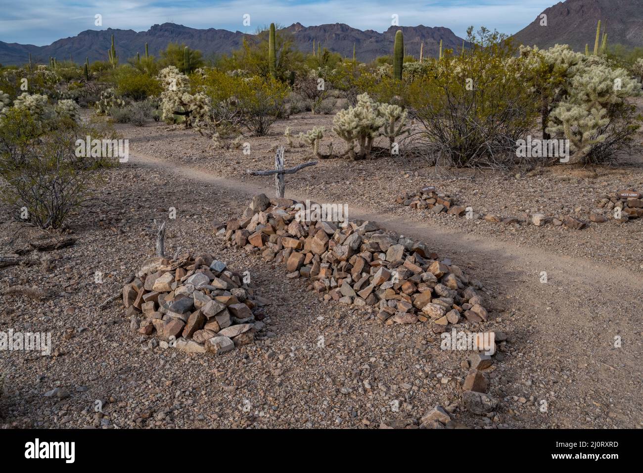 A beautiful overlooking view of nature in Tucson, Arizona Stock Photo ...