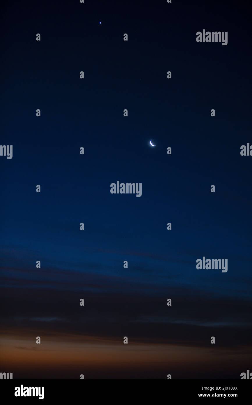 Pacific venus hi-res stock photography and images - Alamy