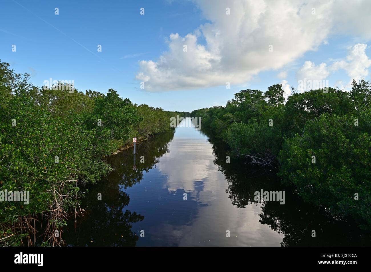 Buttonwood Canal in Everglades National Park, Florida looking toward ...