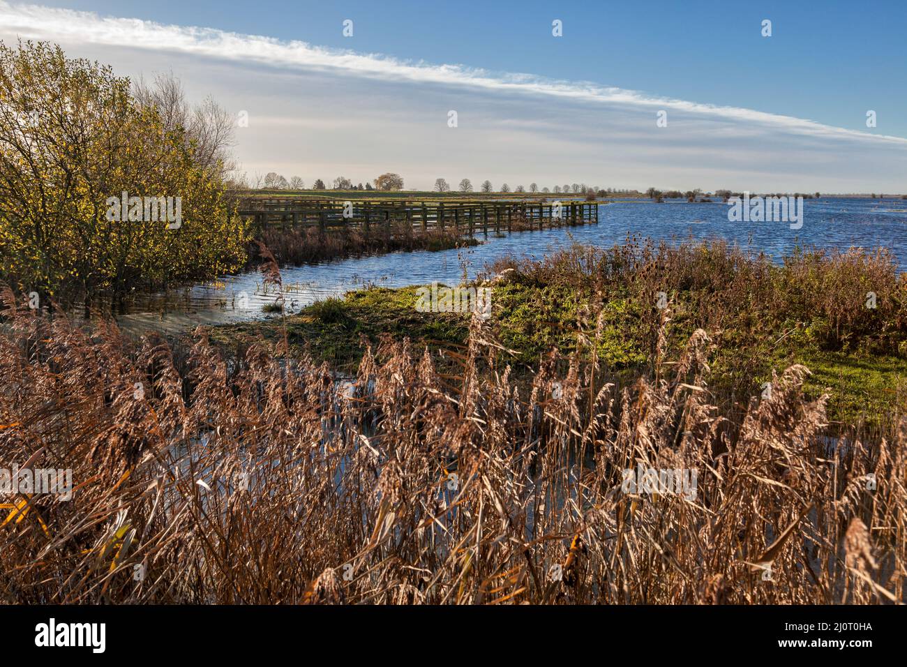 River overflowing after heavy rain near Ely Stock Photo - Alamy