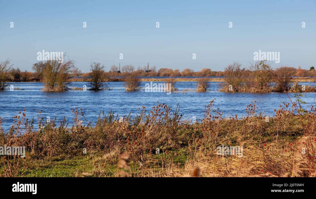 River nearly overflowing after heavy rain near Ely Stock Photo - Alamy