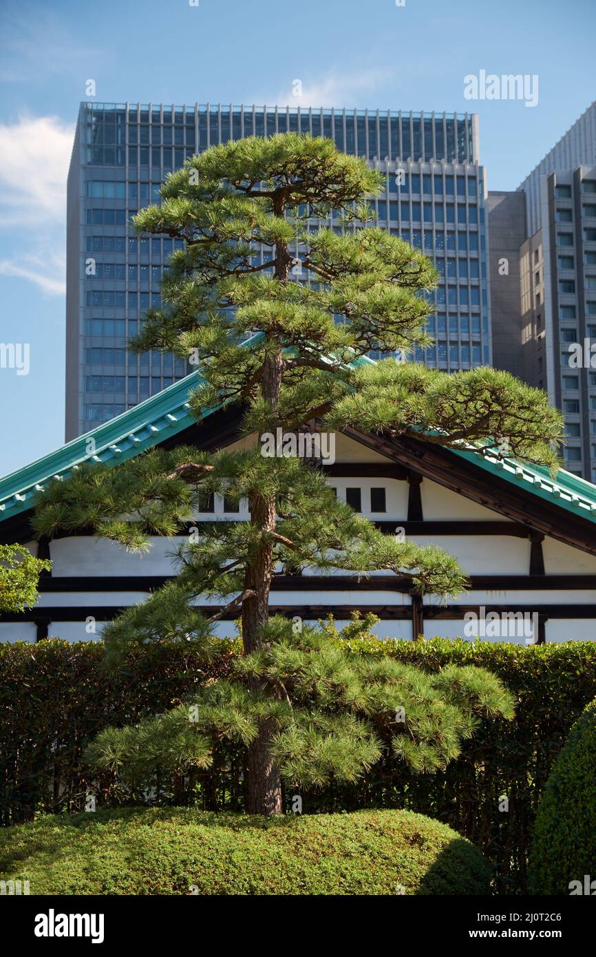 The old and modern buildings as seen from the territory of Tokyo ...