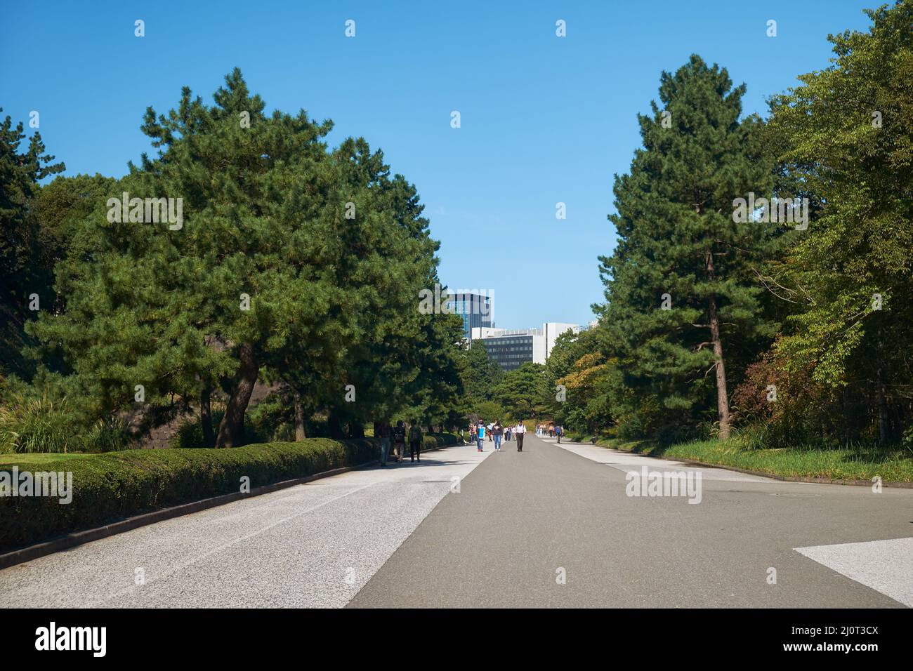 Promenade trail on the territory of old Edo castle in the Tokyo ...
