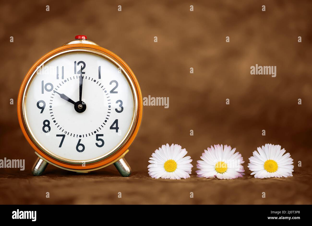 Retro alarm clock and daisy flowers. Good morning, wake up, time ...