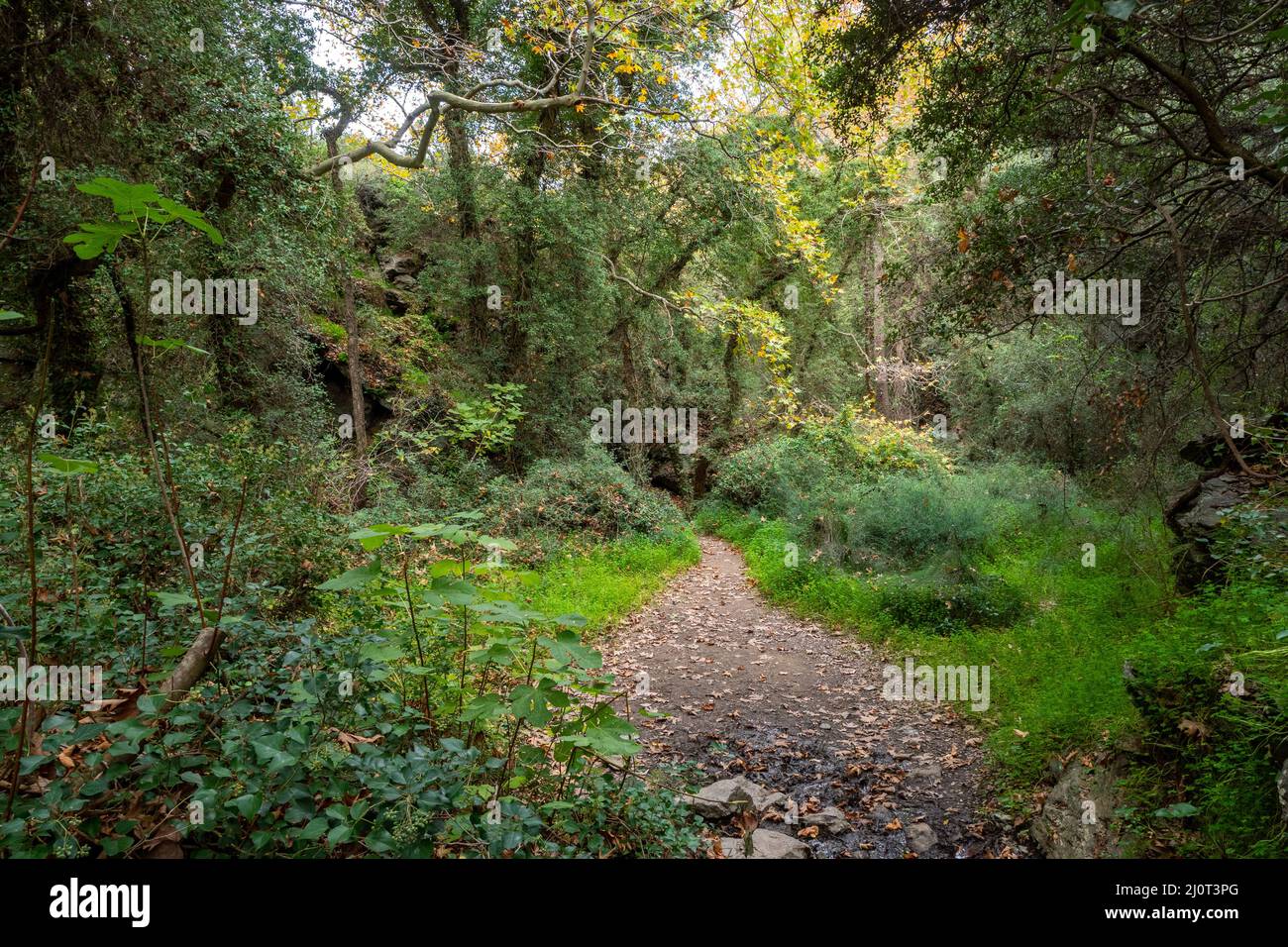 From the Richtis gorge, one of the most beautiful hiking trails on ...