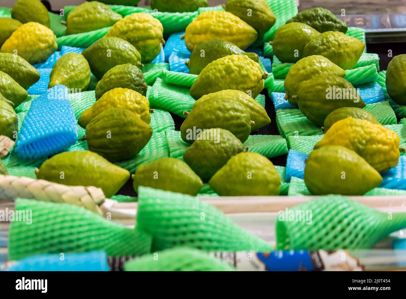 Jewish citrus fruit for celebratory prayer Stock Photo - Alamy