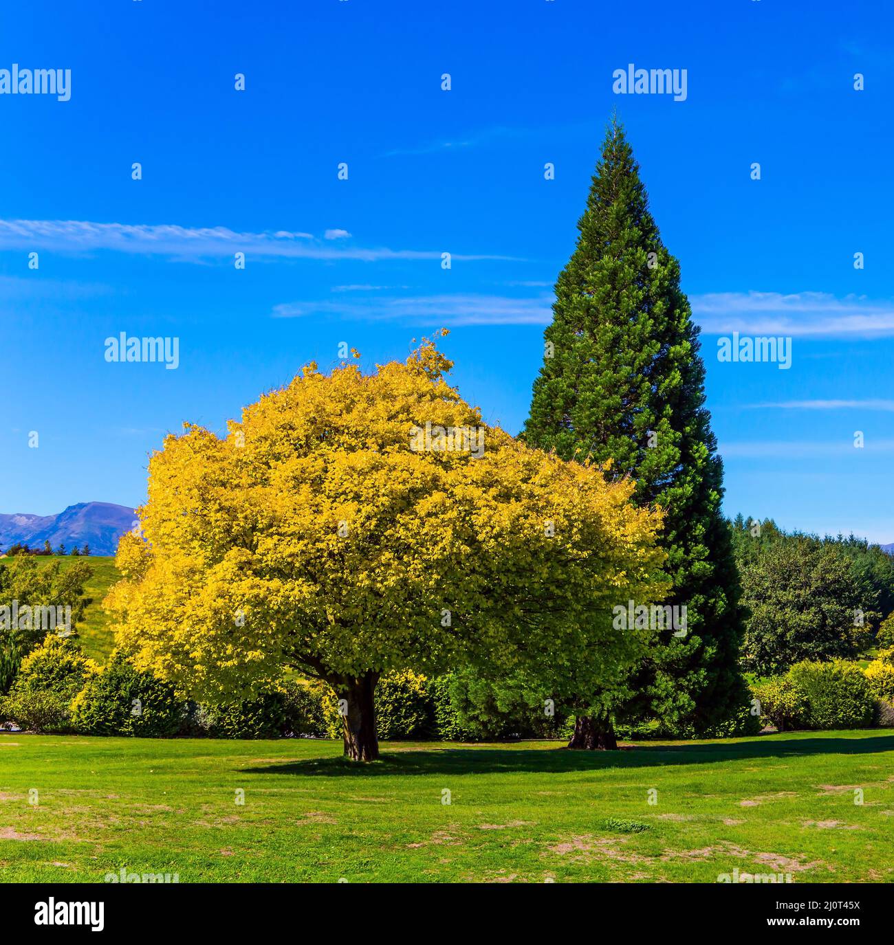But bright day hi-res stock photography and images - Alamy