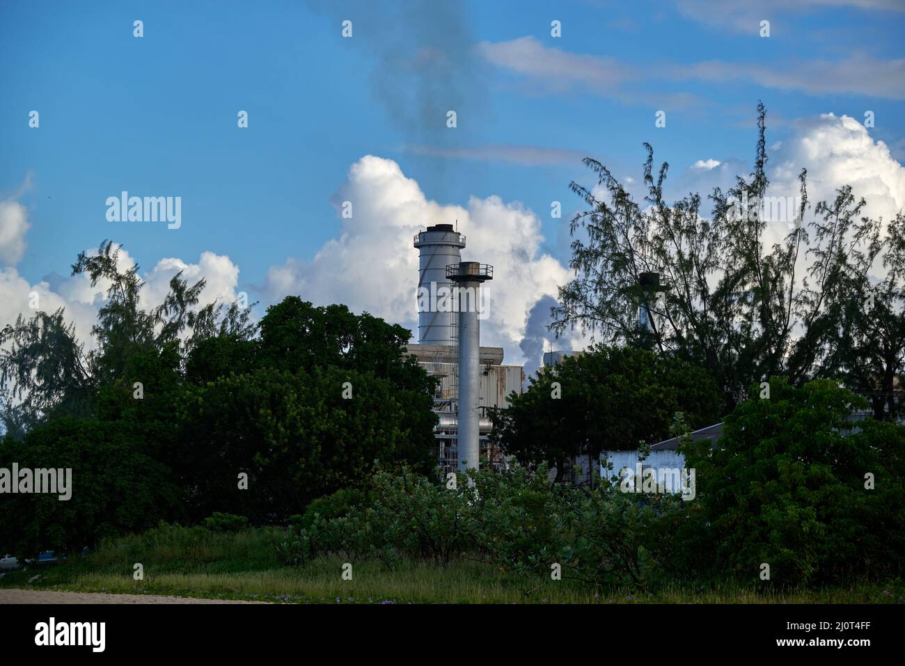 Factory exhaust pipes peaking between trees Stock Photo - Alamy