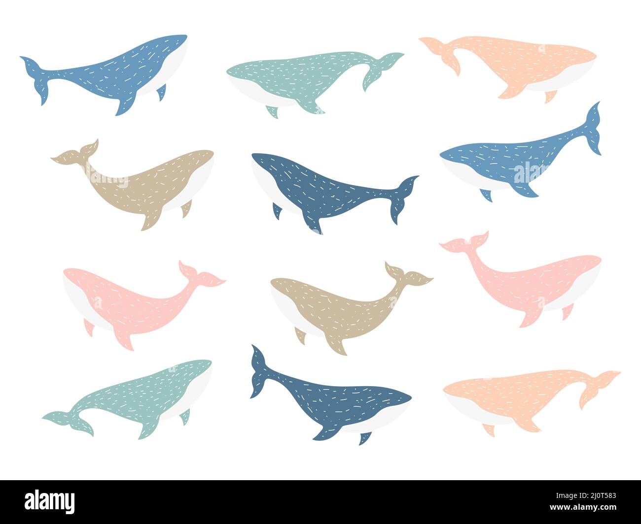 What Color Is A Sperm Whale