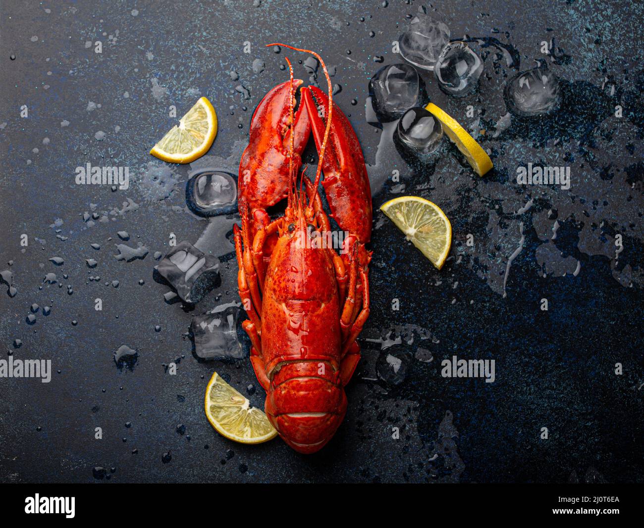 Lobster with lemon and ice cubes top view on blue stone background ...