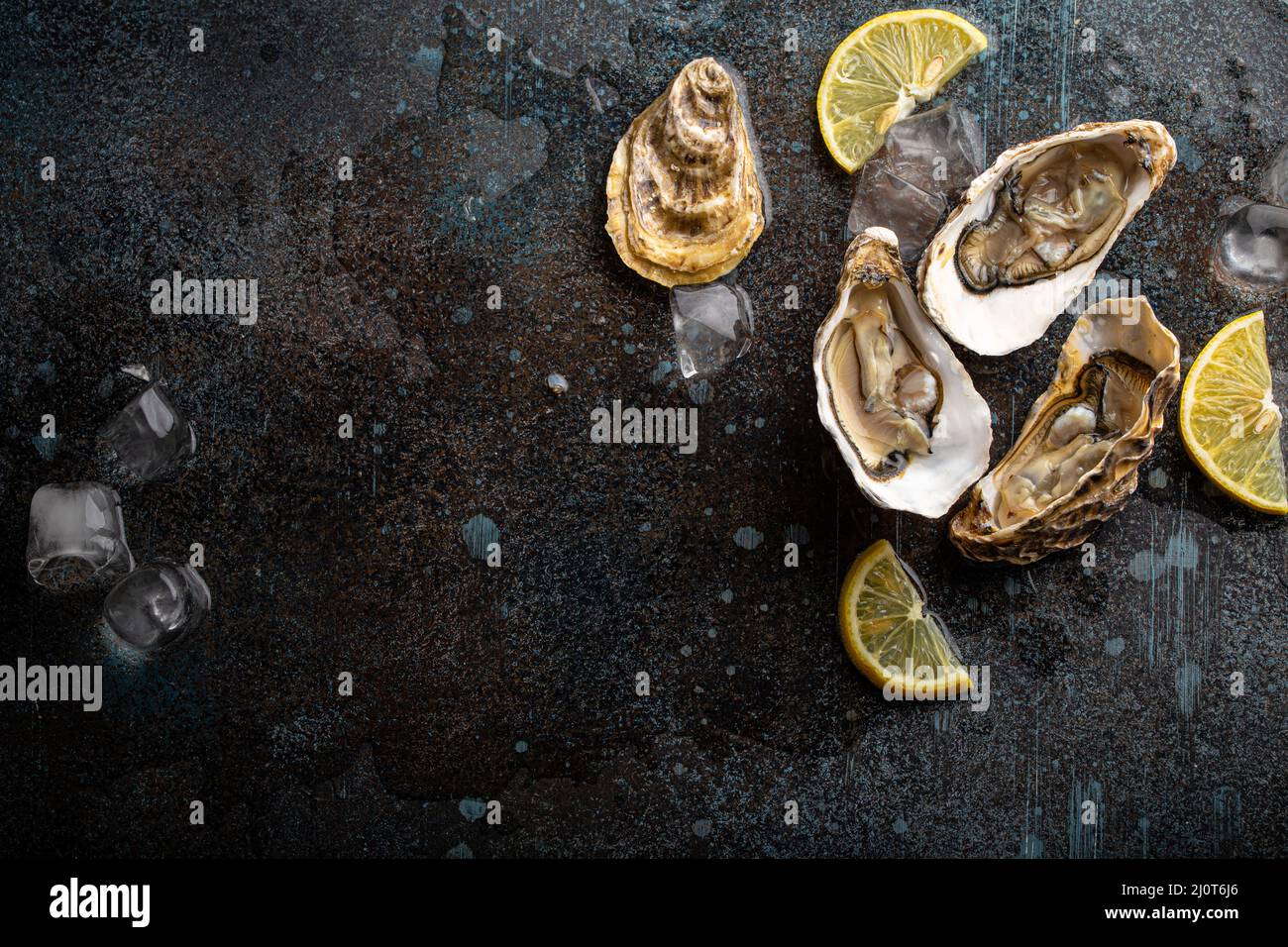 Fresh open oysters top view with lemon wedges and ice copy space Stock ...