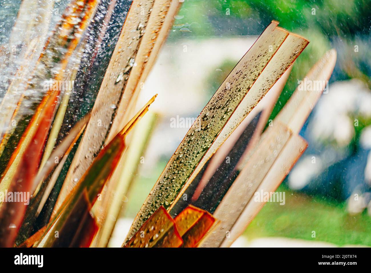 Thin leaves hi-res stock photography and images - Alamy