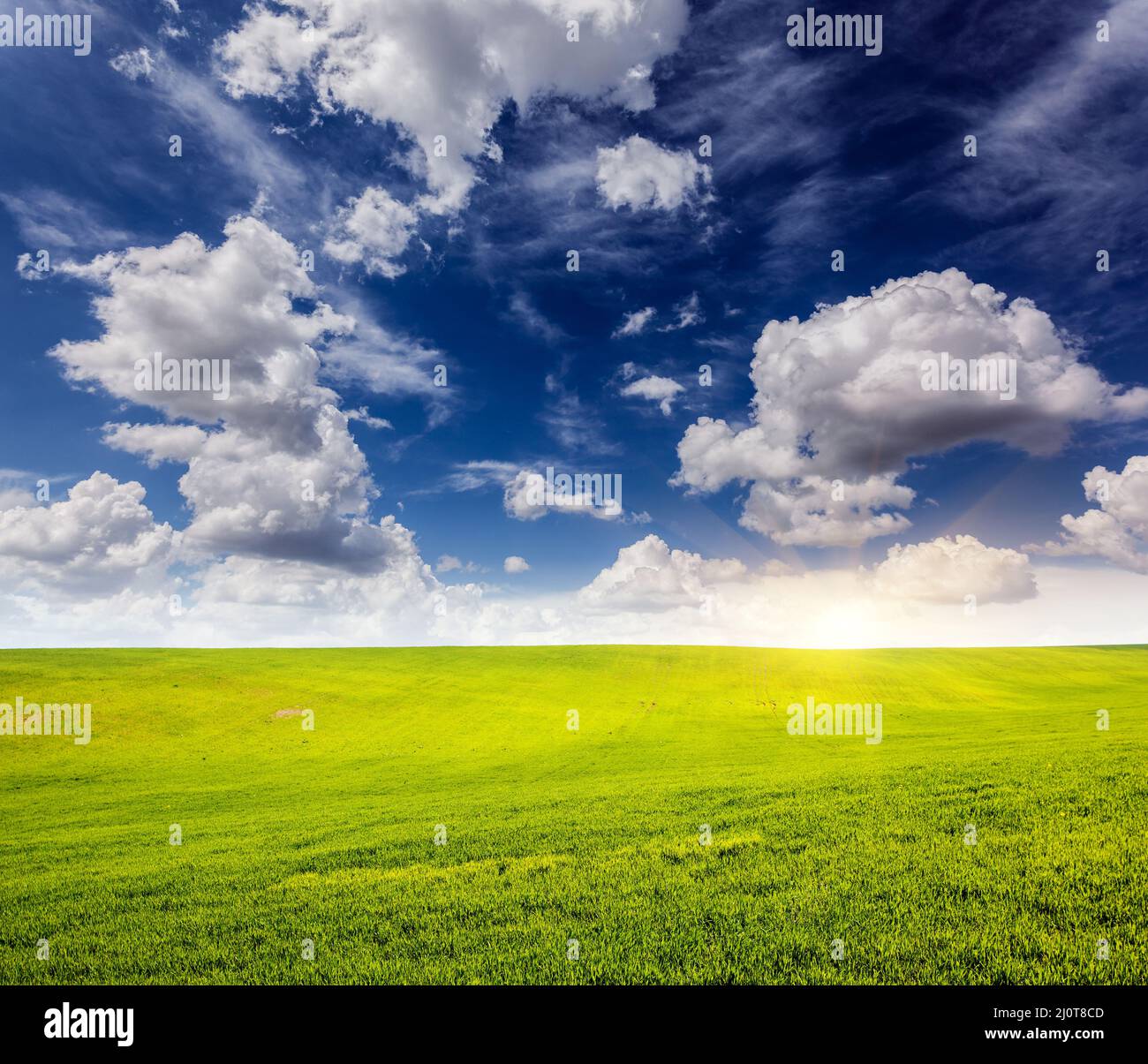 Beautiful field and sky hi-res stock photography and images - Alamy
