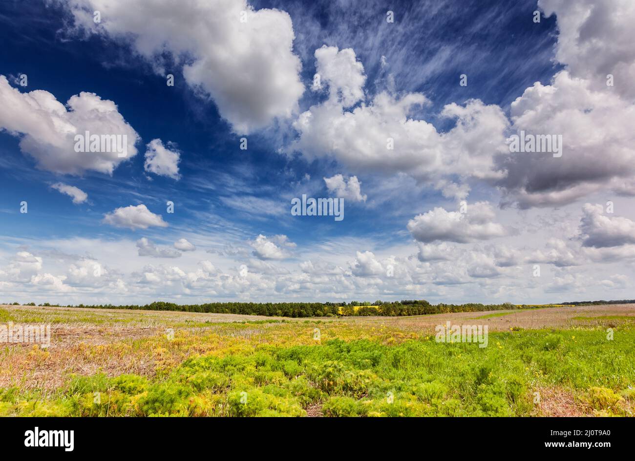 Beautiful sunny day in the field with fluffy clouds. Overcast sky ...