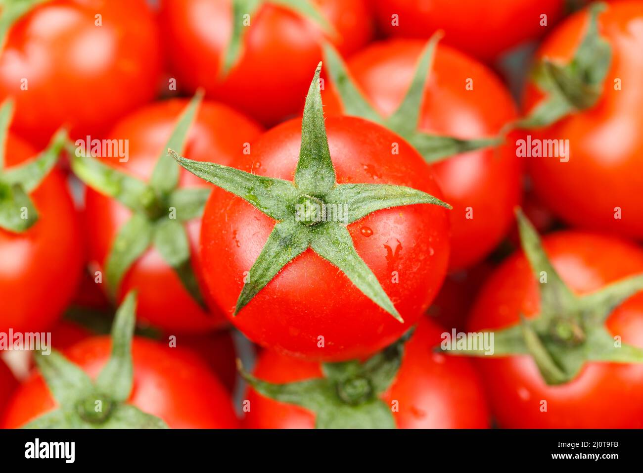 Tomatoes Tomato Vegetables from above Stock Photo - Alamy