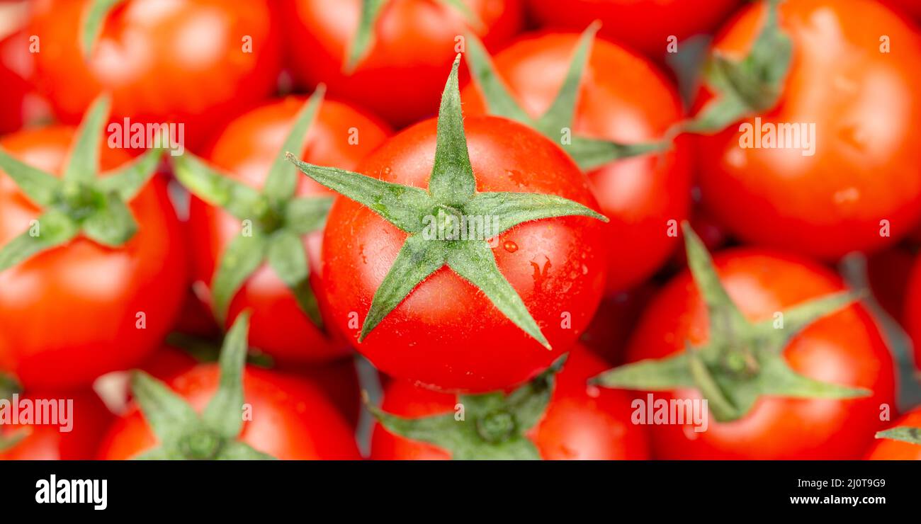 Vegetables panorama hi-res stock photography and images - Alamy