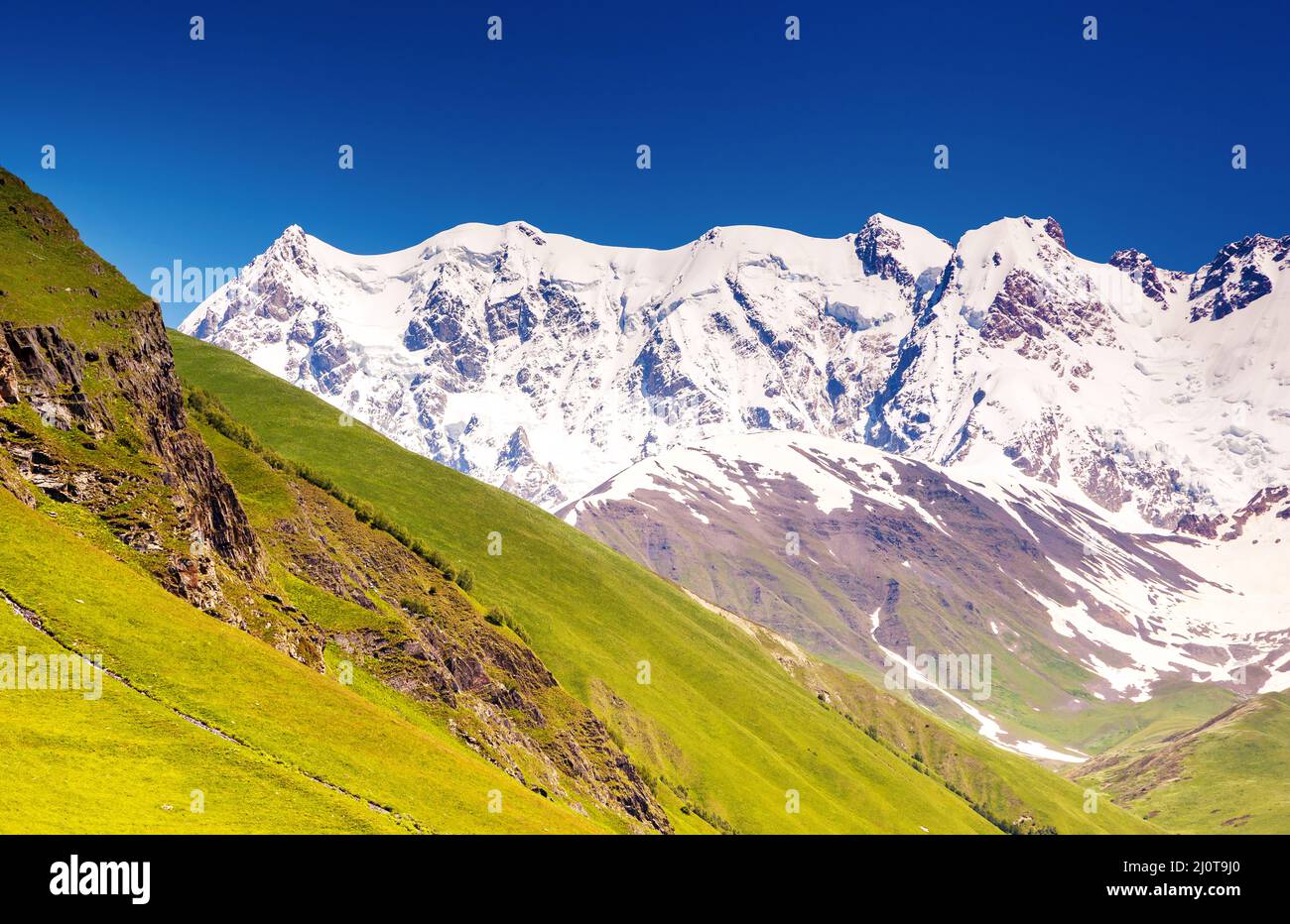 Alpine meadows at the foot of Mt. Shkhara. Upper Svaneti, Georgia ...