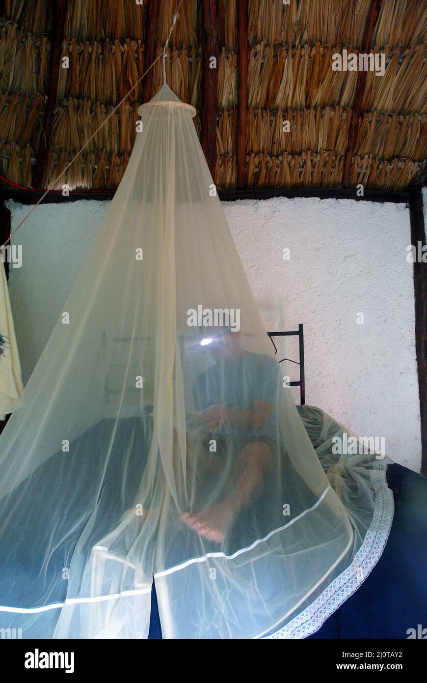 Mosquito netting needed for sleep in Tulum, Mexico Stock Photo - Alamy