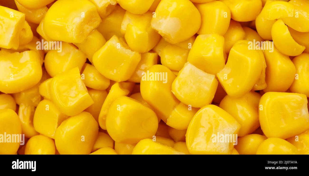 Corn grain vegetables from above panorama Stock Photo - Alamy