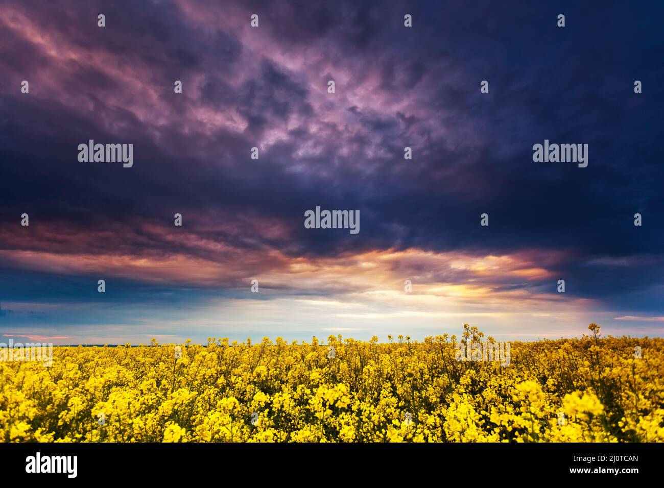Fantastic field at the dramatic overcast sky. Dark ominous clouds ...