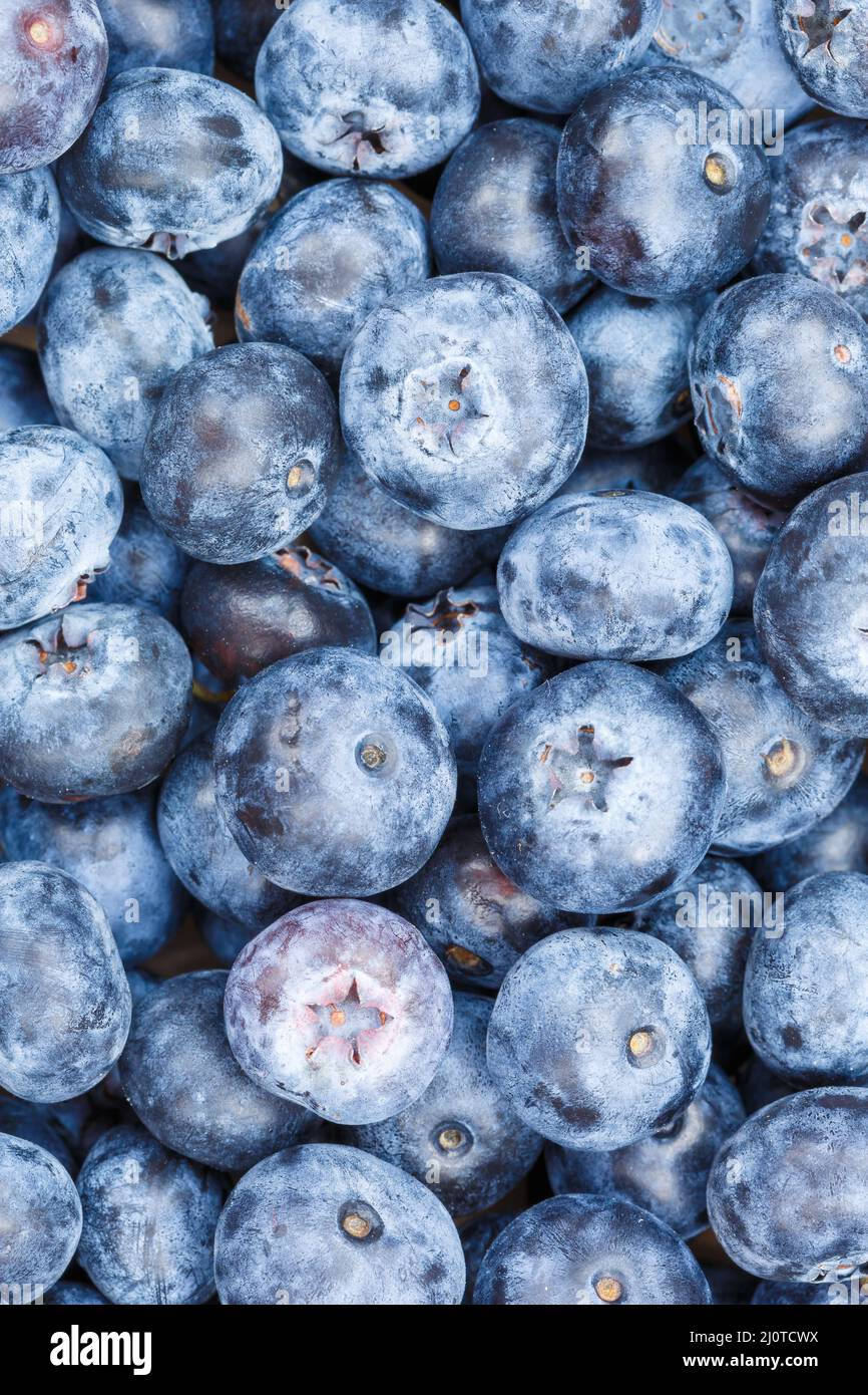 Blueberries blueberries berries fruits blueberry blueberry berry fruit ...