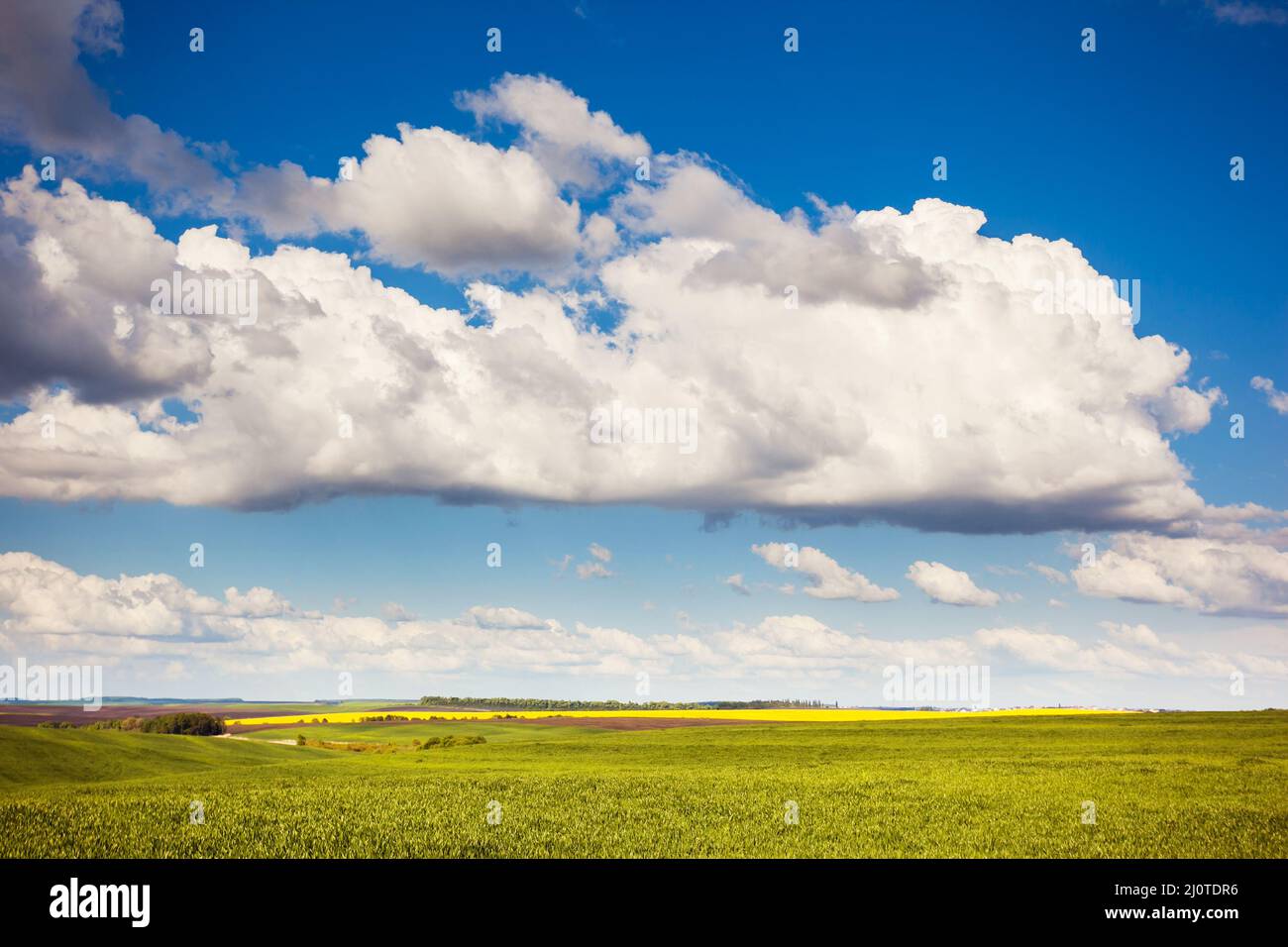 Beautiful sunny day in the field with white fluffy clouds. Overcast sky ...