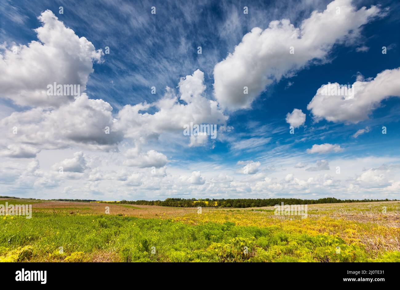 Beautiful sunny day in the field with fluffy clouds. Overcast sky ...
