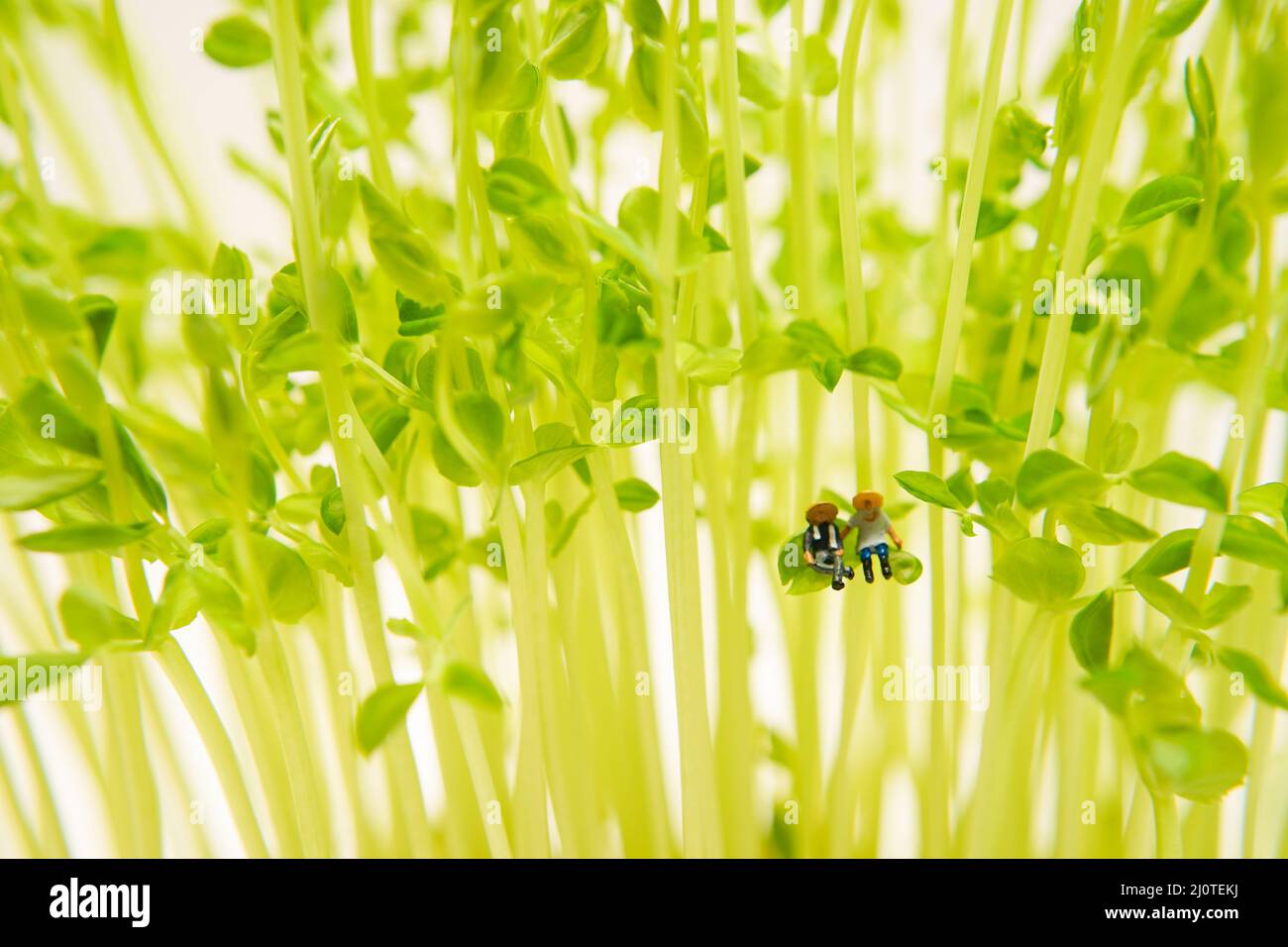 Small person sitting in tree leaves Stock Photo - Alamy